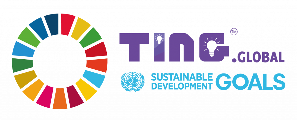 TING - Innovate through Play – Jewcer