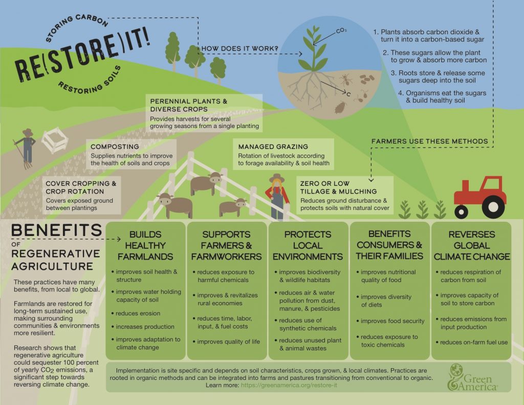 Help fund a new Organic Educational Farm near Philadelphia! – Jewcer