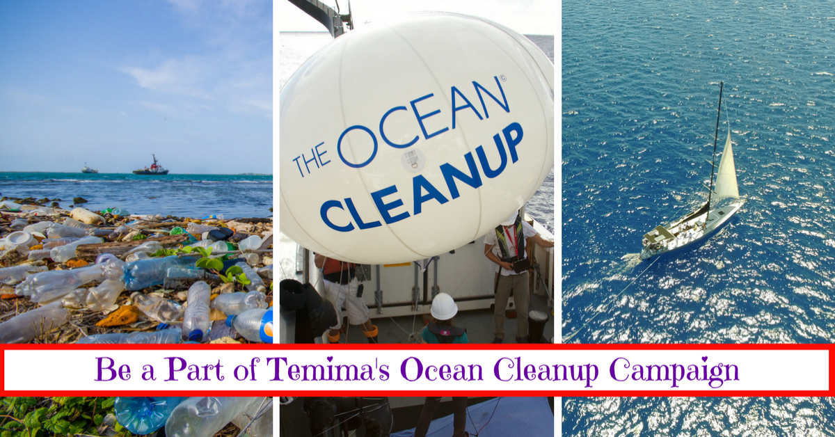 Temima's Bat Mitzvah Ocean Cleanup Campaign – Jewcer